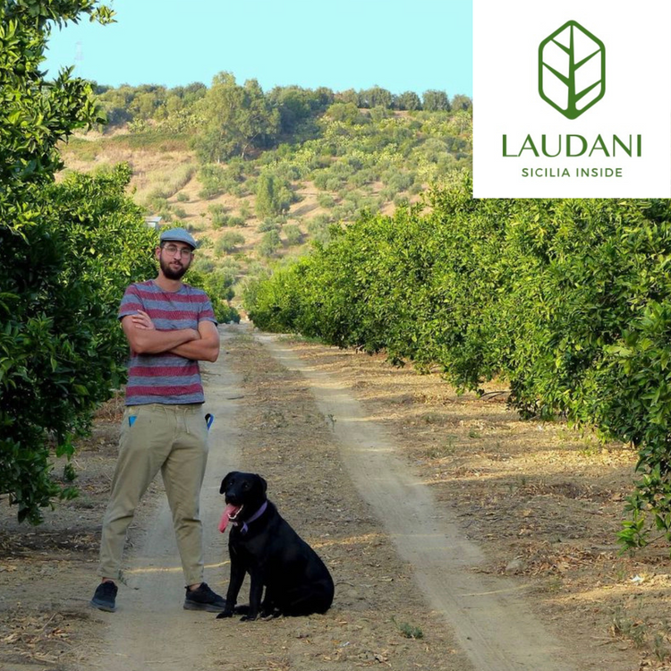 Meet Our Suppliers - The Laudani Farm – England Preserves